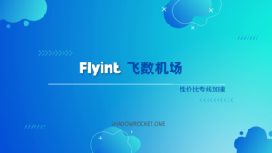 Flyint 飞数机场 — Shadowsocks 机场 | 专线机场 - sing-box-node